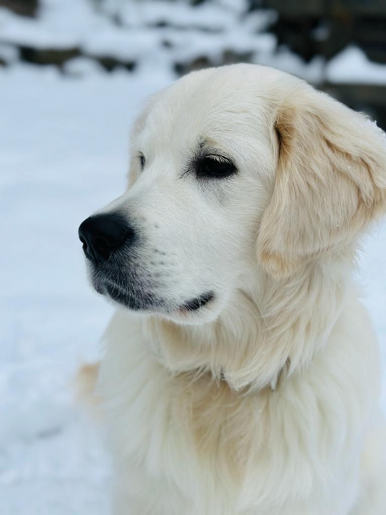 HausDerTherapie.de - Physiotherapie Alexander Stengel - Chemnitz